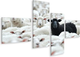 Islandburner Bild auf Leinwand Einzelnes schwarzes Schaf sticht aus wei&szlig;er Herde auf l&auml;ndlichen Weidefeldern heraus Bilder Wandbilder Poster