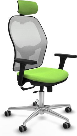 Piqueras y Crespo Ergonomischer Schreibtischstuhl mit 3D-Armen, h&ouml;henverstellbare Lendenwirbelst&uuml;tze und h&ouml;henverstellbares Kopfteil, Wei&szlig; / Pistazie