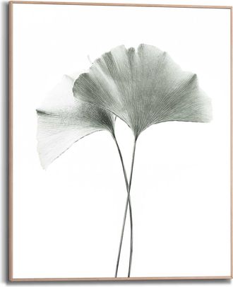 Reinders Gerahmtes Bild, Ginkgo Blatt, Wohnzimmer, Bilder, Wanddeko, Room Decor, MDF, Gr&uuml;n, 50 x 40