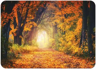 Fabulous Platzsets, weich, Unterseite aus Kork, Deckchen, Ahornbohrer in der aufgehenden Sonne, natürliche Landschaft, Herbst, großes Format, 39,5 x 28,5 cm, 4