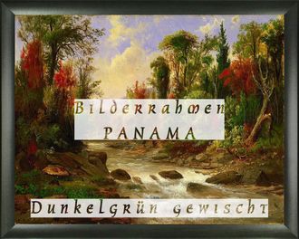 Homedecoration Bilderrahmen Panama 58 x 69 cm Dunkelgrün gewischt mit Acrylglas Antireflex 1 mmm