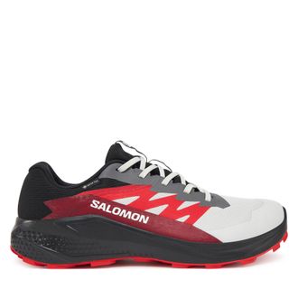 Salomon Laufschuhe Salomon Alphaglide Gore-Tex L47802200 Grau