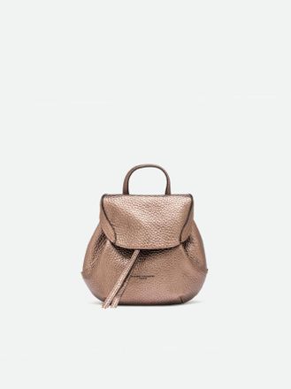 Gianni Chiarini VIOLETTE