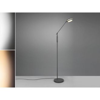 Trio Leuchten Dimmbare led Stehleuchte franklin schwenkbar, Höhe 133cm, Anthrazit