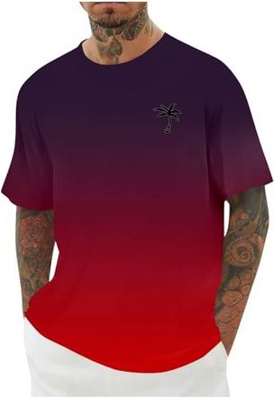 Generic Chemises à manches courtes pour hommes, décontracté, classique, col rond, dégradé, séchage rapide, respirant, sports dété, fitness, entraînement tops,