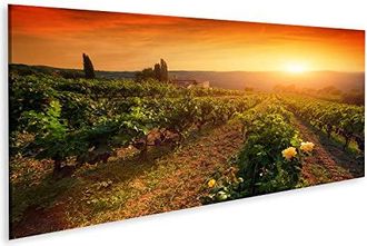 Islandburner Tableau sur toile Raisins m&ucirc;rs vignes Toscane Italie vignoble coucher de soleil temps de lumi&egrave;re c Cadre Affiche Poster Murale Tableaux