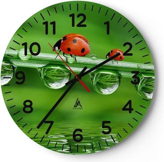 Arttor Modern Wanduhr Marienkäfer Wasser Grün Umwelt 30x30cm Rund Klein Wand Uhr Glas Analog Zimmeruhren Küche Büro Wohnzimmer Glasuhr Wall Clock Dekoration 