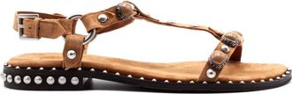 Ash Ash, Femme, Chaussures, Brun, Taille: 40 EU Podium Sandal