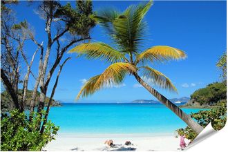 Islandburner Prime XXL Bild Poster Tropen Strand Karibik Palmen Weißer Sandstrand Premium Bilder Fotodruck