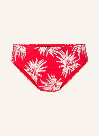 LingaDore Bikini Slip rot