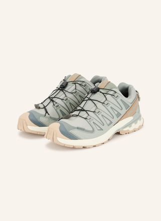 Salomon Trailrunning-Schuhe Xa Pro 3d v9 Gtx Lifelong beige