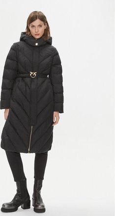 Pinko Winterjacke Computer 101601 A11M Schwarz Regular Fit