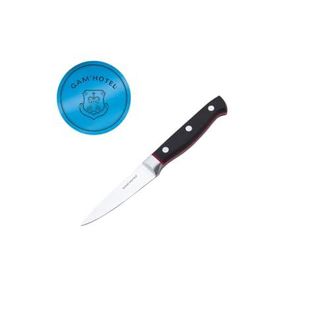 Gam'hotel Obstmesser 20,5cm hiro