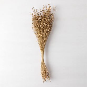 Sklum B&uuml;ndel Bairad Dekorative Trockenblumen Braun Weizen