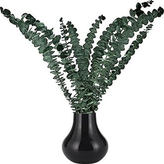 Generic Bain &Agrave; Leucalyptus Stabilis&eacute; - Douche Apaisante Deucalyptus | Faisceaux Deucalyptus Sec Naturel Centrotable | Pi&egrave;ce ma&icirc;tresse Naturelle, Deucalyptus S