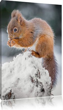 Pixxprint Kleines Eichhörnchen im Winter, Größe: 60x40cm, Leinwandbild, fertig gespannt, Wandbild, Dekoration, Kunstdruck, kein Poster