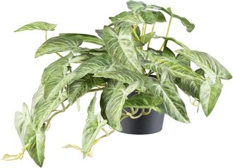 Creativ Green künstliche Hängepflanze Alocasia mit 4 Ranken I Künstliche grüne Zimmerpflanze zum hängen mit Ranken & 46 Blättern im schwarzen Kunststofftopf I hochw