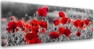 Feeby Bilder - Foto Geschenk - Rote Mohnblumen auf Wiese Grau - 90x30 cm 1tlg - Leinwandbilder Wohnzimmer - Wandbild &uuml;ber dem Bett - Bild Schlafzimmer - Aes