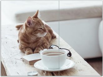 Wallario Herdabdeckplatte/Spritzschutz aus Glas, 2-teilig, 70x52cm mit 8 mm hohen F&uuml;&szlig;en, f&uuml;r Ceran- und Induktionsherde, S&uuml;&szlig;e rot getigerte Katze beim Kaffee