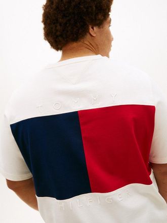 Tommy Hilfiger Big & Tall T-Shirt BT-FLAG Gro&szlig;e Gr&ouml;&szlig;en, regular fit
