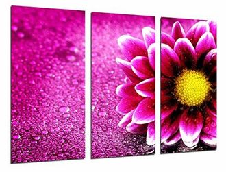 Cuadros Cámara Gemälde Kamera Poster Foto mehrfarbig 97 x 62 cm