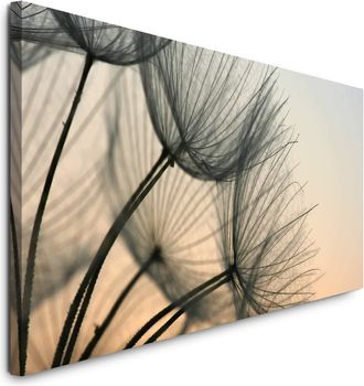 Paul Sinus Art GmbH Pusteblumen 120x 50cm Panorama Leinwand Bild XXL Format Wandbilder Wohnzimmer Wohnung Deko Kunstdrucke