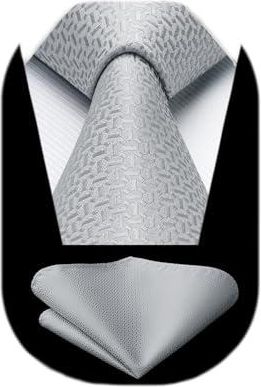 Hisdern Cravate Homme Gris Mariage Élégant Cravates et Pochette à Motif Classique Ensemble de Cravate Mouchoir daffaires Fête