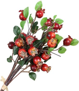 Healifty Gruppe von 5 künstlichen Hagebutten Beeren Simulation Granatapfelfrucht (rot)