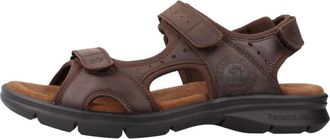 Panama Jack Homme, Chaussures, Brun, Taille: 43 EU Salton Basics C1