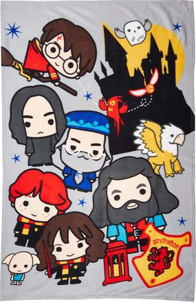 Harry Potter 150 cm x 100 cm TC595