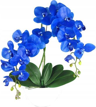 Generic Hochwertige Silikon-Orchid4ee in Boot-Design - Langlebig und pflegeleicht (Blau)