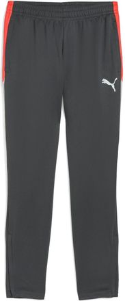 Puma Individualliga Trainingshose f&uuml;r Herren (Schattengrau)