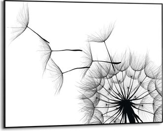 Reinders Gerahmtes Bild, Pusteblume II, Schlafzimmer, Bilder, Wanddeko, Room Decor, MDF, Schwarz-Wei&szlig;, 50x70cm