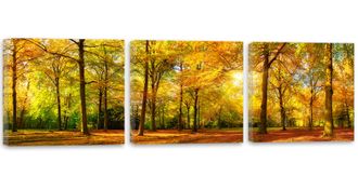 Feeby Bilder 3 Teile Wald Bäume 180x60 cm Wohnzimmer Schlafzimmer Büro Flur Küche Wandbilder Modern Bild auf Leinwand Wanddekoration Kunstdruck Design Natur