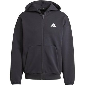 adidas Herren Kapuzensweat Future Icons Small Logo