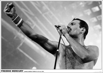 Queen Freddie Mercury - Wembley Arena, London 1984 None Poster multicolor