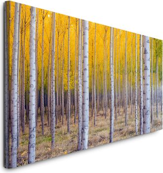 Paul Sinus Art GmbH Herbst Birke 120x 50cm Panorama Leinwand Bild XXL Format Wandbilder Wohnzimmer Wohnung Deko Kunstdrucke