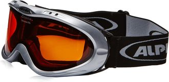Alpina Alpina Erwachsene Skibrille Opticvision D, Silber, One Size, 7017121