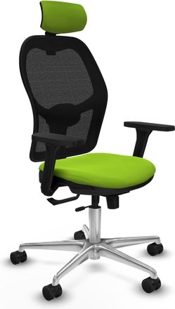 Piqueras y Crespo Ergonomischer Arbeitsstuhl mit 3D-Armen, h&ouml;henverstellbare Lendenwirbelst&uuml;tze und h&ouml;henverstellbares Kopfteil, Schwarz / Pistazie