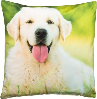 Brandsseller Dekokissen Zierkissen mit Tiermotiv - 40 x 40 cm (40 x 40 cm, Golden Retriever Motiv 2)