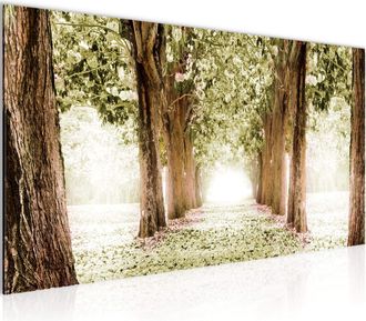 Runa Art Wandbild Wald Landschaft 1 Teilig 100 x 40 cm Modern Bild auf Vlies Leinwand Natur Schlafzimmer Wohnzimmer Grün 605612c
