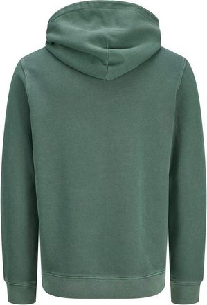 Jack & Jones Kapuzensweatshirt JPRBLUAIDEN HOOD SWEAT Baumwolle, regular fit