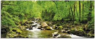 Artland ARTland Wanddeko Glasbilder Wandbild Glas Bild einteilig 125x50 cm Querformat Natur Landschaft Wald Fluss Wasserfall Felsen Steine Bach T1YH