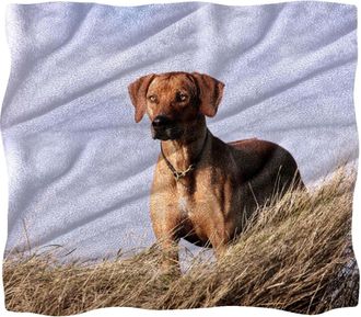 Generic Rhodesian Ridgeback Hunde-Fleece-Überwurfdecke für Couch, Sofa oder Bett, gemütliche, weiche Decken