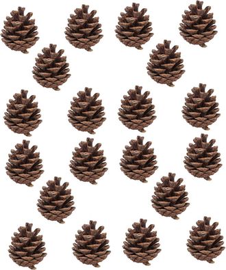 BESPORTBLE 30st&uuml;cke Nat&uuml;rliche Tannenzapfen f&uuml;r Winterdekoration Weihnachtsbaumschmuck f&uuml;r Tischschmuck und Wanddekoration