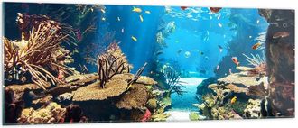 Arttor Panorama Bilder auf Glas Ozean Riff Fische Koralle Glasbild 140x50cm Wandbilder Dekoration Wohnzimmer Schlafzimmer Küche Groß XXL Wanddeko Bild im Gla