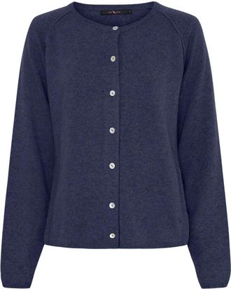 BTF-CPH Btfcph, Femme, Pulls, Bleu, Taille: 36 FR Cardigans