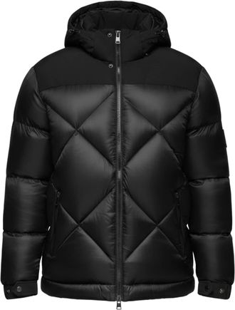 Ombre Jacke Eximio