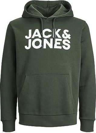 Jack & Jones Jjecorp Sweat &Agrave; Capuche Noos Sweatshirt &agrave; capuche, Homme, Mountain View/Fit:reg /Large Print, S