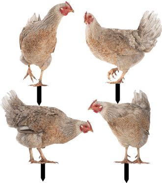 Yardwe 4 Stücke Gartenstecker Gartenfiguren Huhn Hühner Figur Gartendeko Tiere Stecker Dekofigur Acryl Garten Statue Skulptur Zaunhocker Rasen Deko Hof Dekor